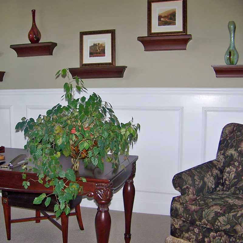 Gallery | The Paint Solution